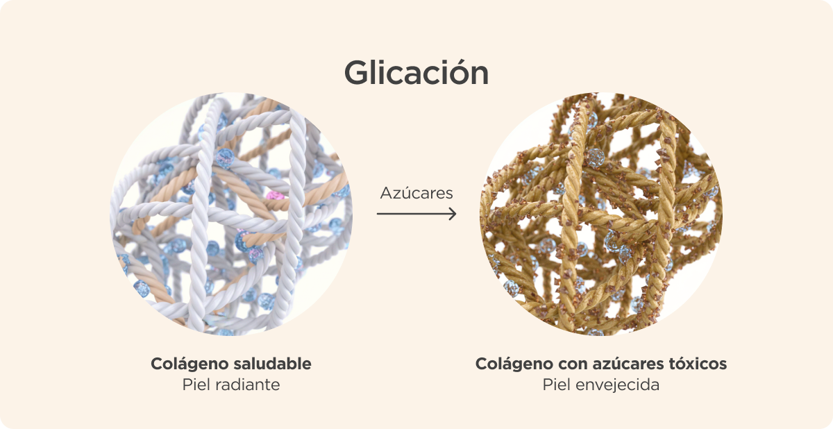 La glicación y tu piel: qué es y cómo combatirla - ISDIN