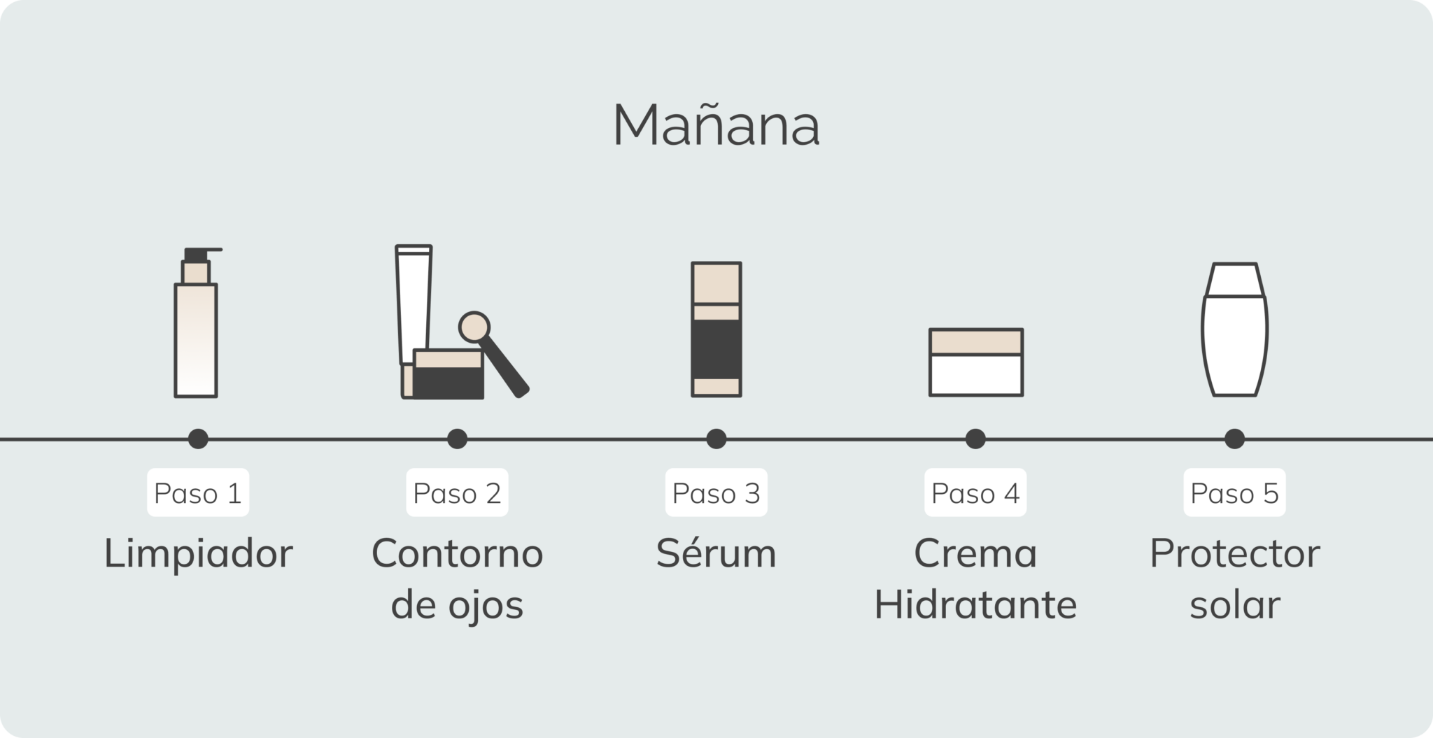 ¿Qué va primero? Una guía completa sobre los pasos de tu rutina de ...
