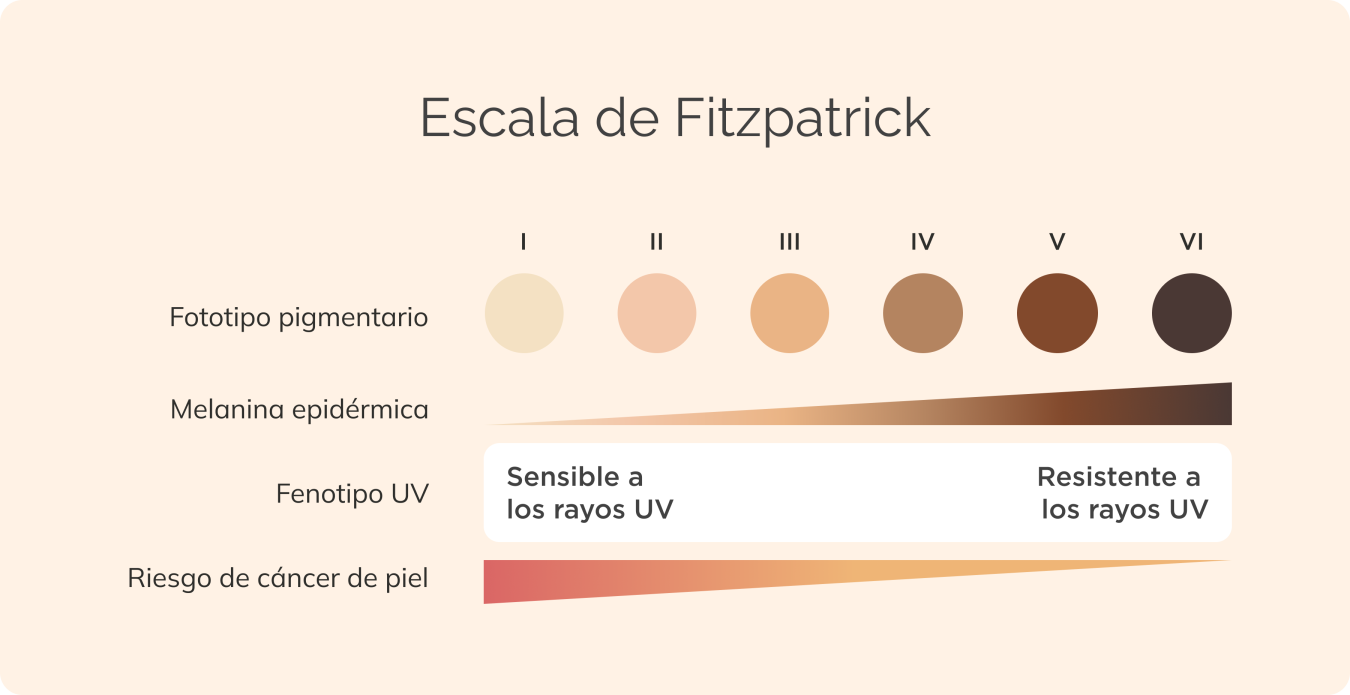 Qué son los fototipos de piel y por qué importan más de lo que crees ...