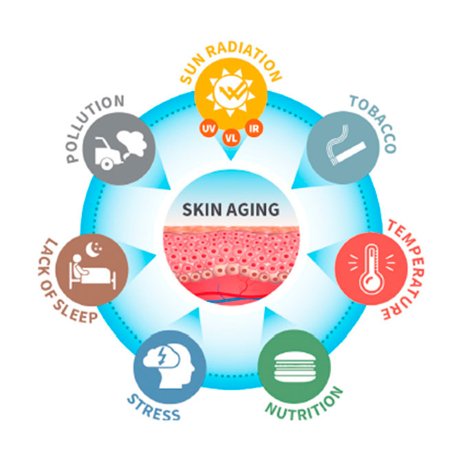 Effects of The Sun on Visible Signs of Aging | ISDIN