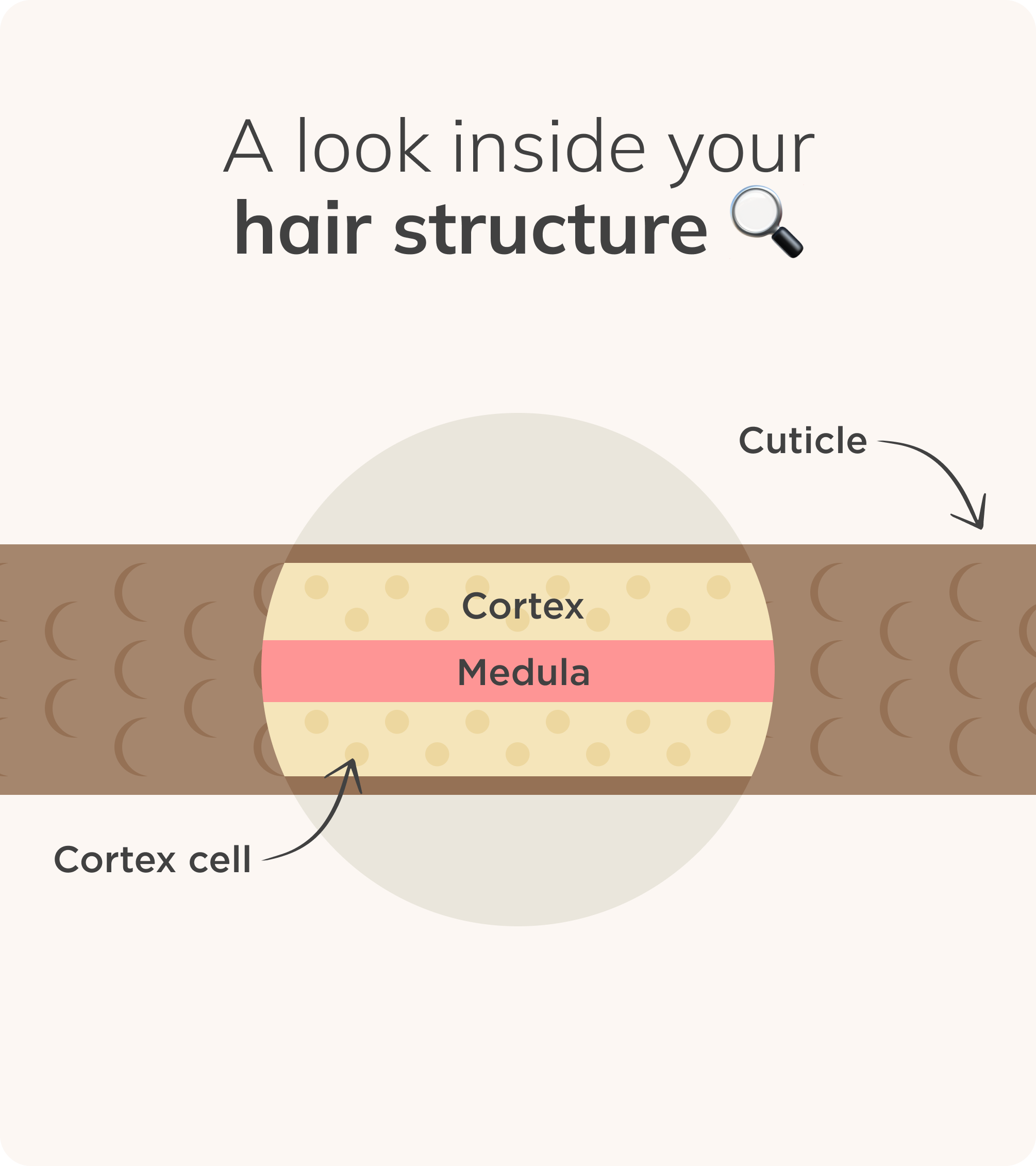 How To Get Healthy Hair: Tips for Strong, Nourished Hair | ISDIN