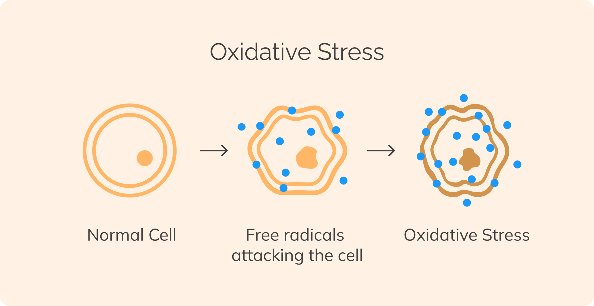 What Are Free Radicals And How Do They Affect Skin? | ISDIN