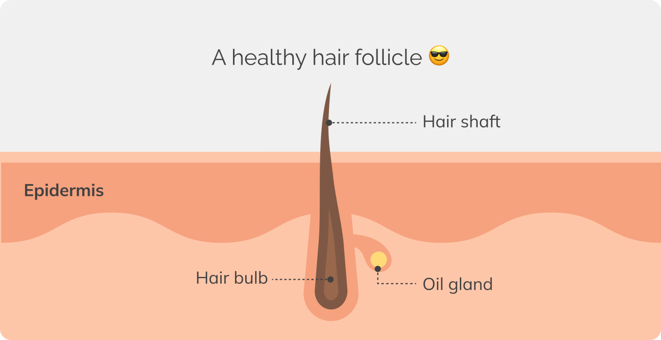 The Skinification of Hair Care: Why Your Scalp Needs a Routine Too | ISDIN