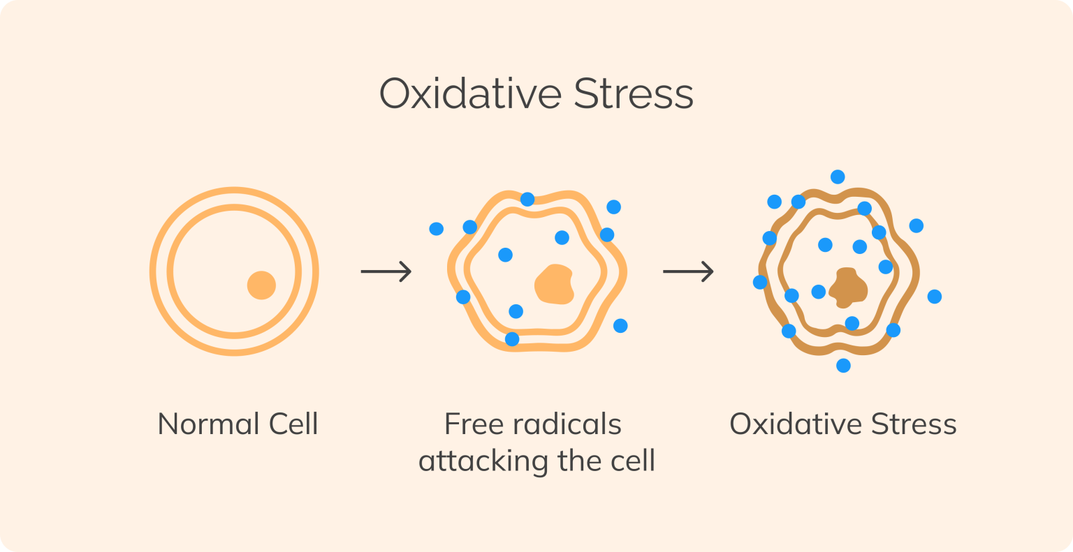 Here’s How Smoking Affects Your Skin | ISDIN